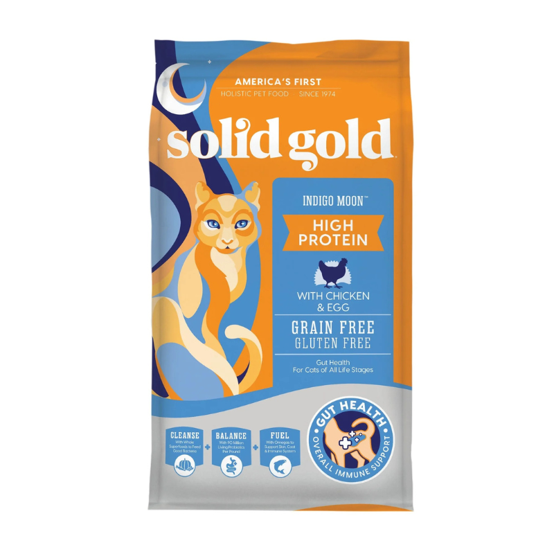 Solid Gold – Arca de Noe