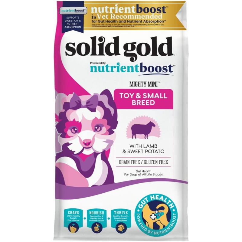 Solid Gold – Arca de Noe