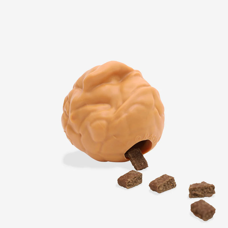 Juguete Para Perro Zeedog Marvel The Thing Ball – Arca de Noe